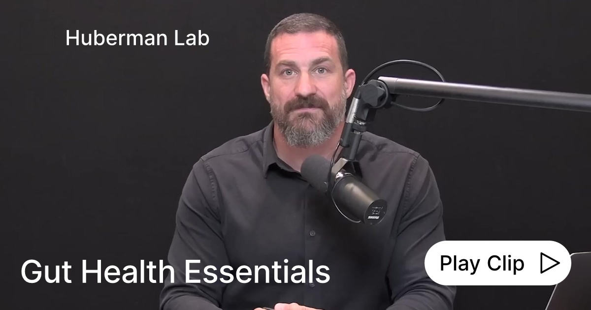 Play Clip on Huberman Lab's Hub