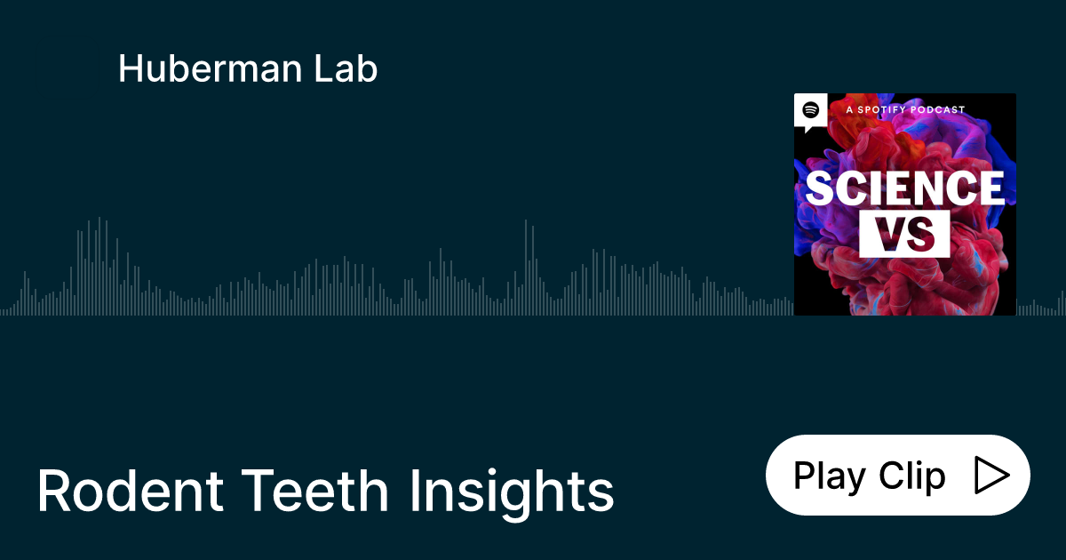 Rodent Teeth Insights | Ask Huberman Lab
