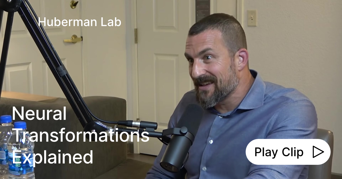 Neural Transformations Explained | Ask Huberman Lab