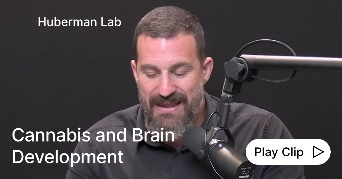 Cannabis and Brain Development | Ask Huberman Lab