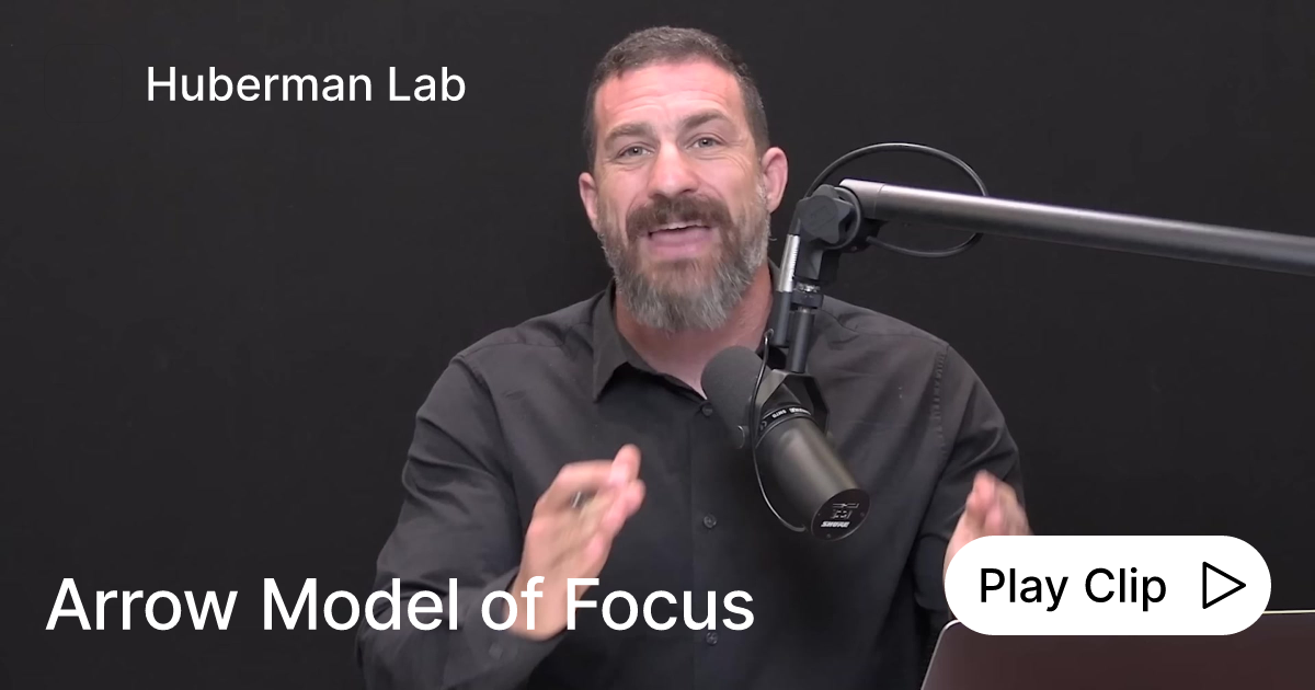 Arrow Model of Focus | Ask Huberman Lab