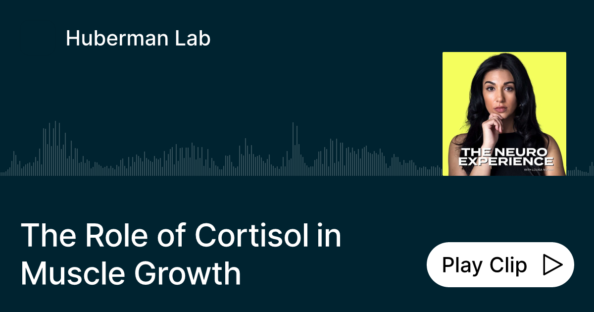 The Role of Cortisol in Muscle Growth | Ask Huberman Lab