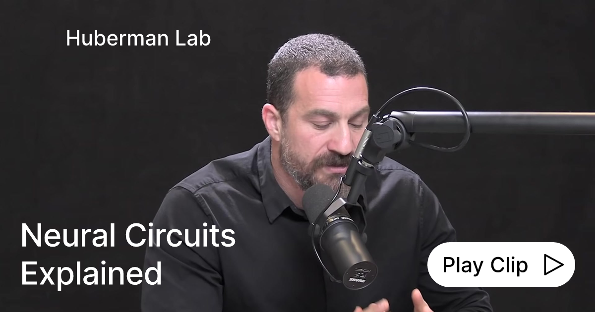 Neural Circuits Explained | Ask Huberman Lab