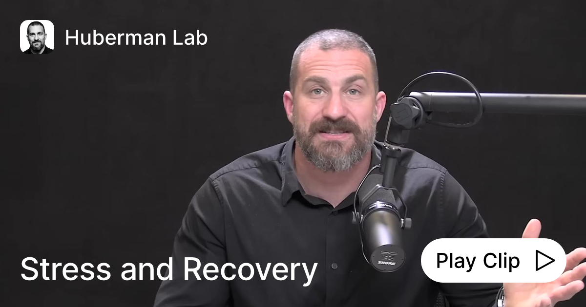 Stress and Recovery | Ask Huberman Lab