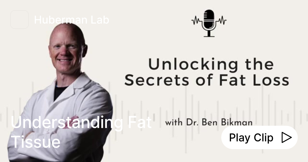 Understanding Fat Tissue | Ask Huberman Lab