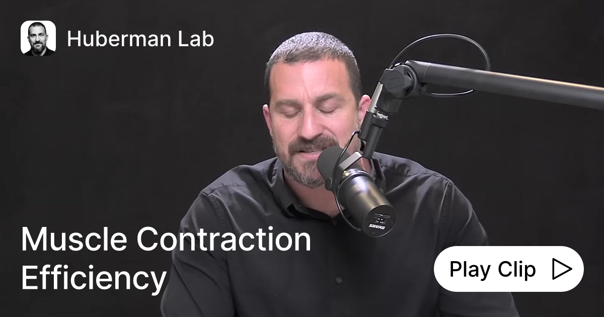 Muscle Contraction Efficiency | Ask Huberman Lab