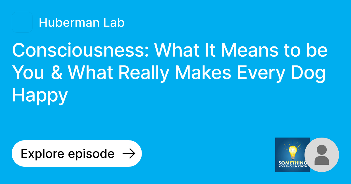 Episode: Consciousness: What It Means to be You & What Really Makes ...