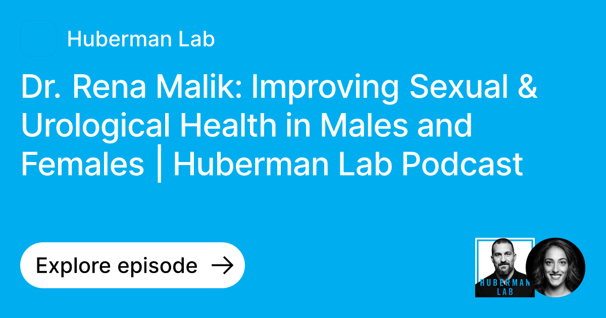 Episode: Dr. Rena Malik: Improving Sexual & Urological Health in Males and Females | Huberman ...