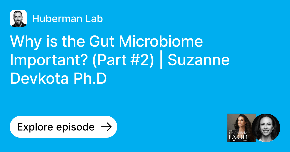 Episode: Why is the Gut Microbiome Important? (Part #2) | Suzanne Devkota Ph.D | Ask Huberman Lab
