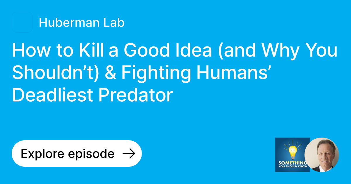 Episode: How to Kill a Good Idea (and Why You Shouldn’t) & Fighting ...