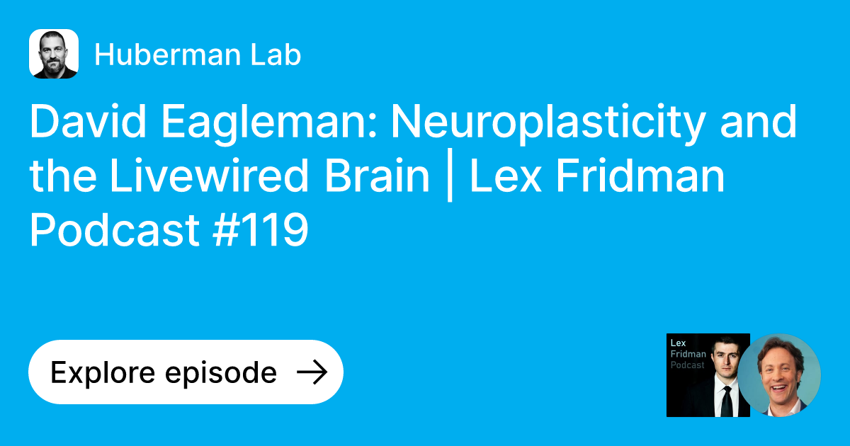 Episode: David Eagleman: Neuroplasticity and the Livewired Brain | Lex ...