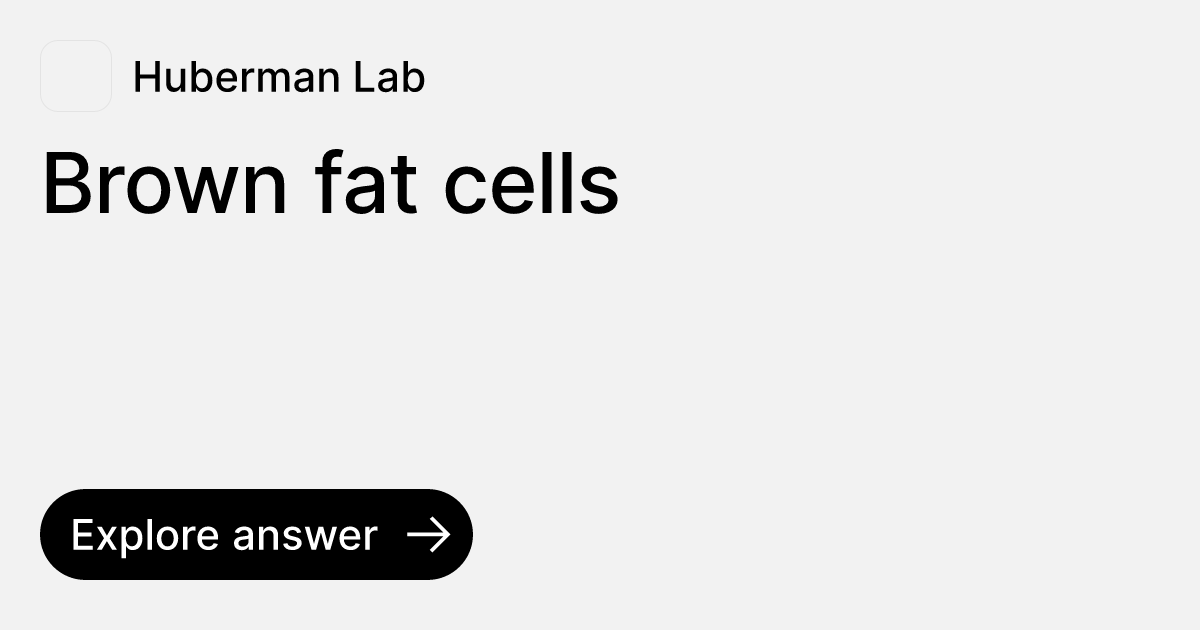 Brown fat cells | Ask Huberman Lab