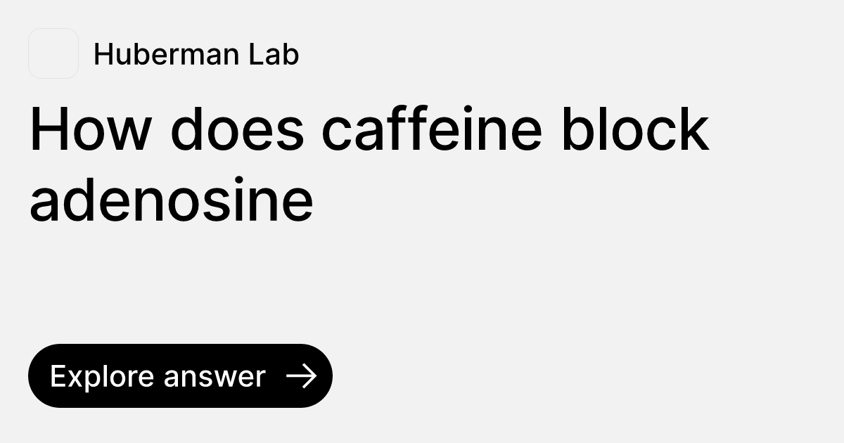 How does caffeine block adenosine | Ask Huberman Lab