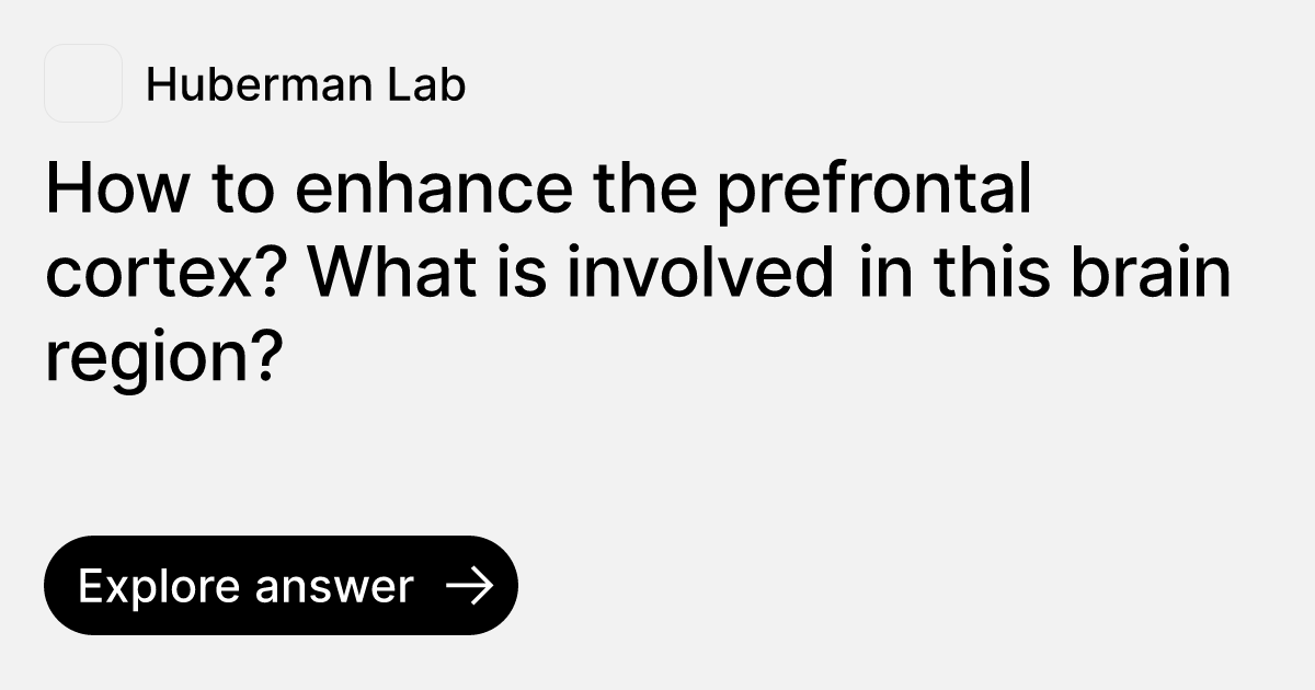 How to enhance the prefrontal cortex? What is involved in this brain ...