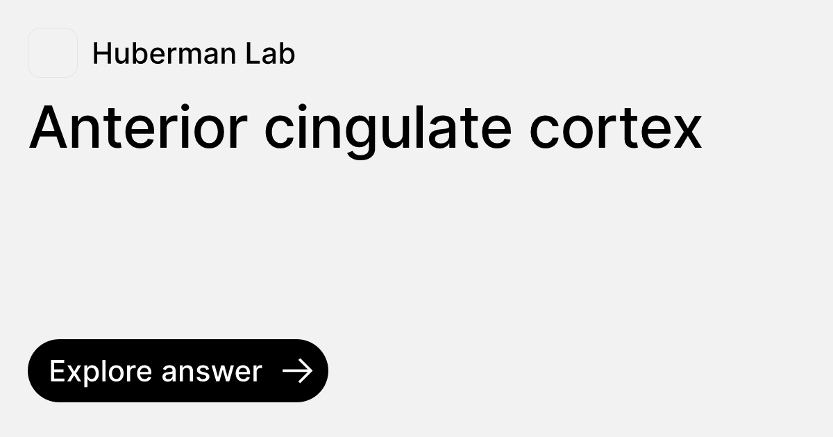 Anterior cingulate cortex | Ask Huberman Lab