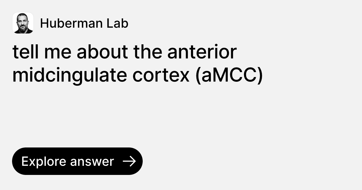 tell me about the anterior midcingulate cortex (aMCC) | Ask Huberman Lab